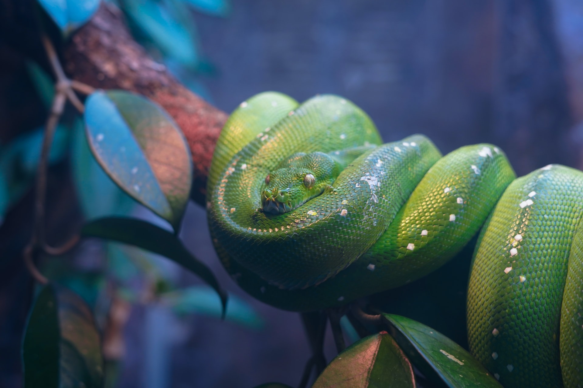Iteration Protocol And Generators In Python HackersFriend